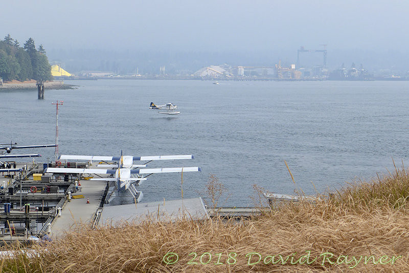 David Rayner Photography | West Canada