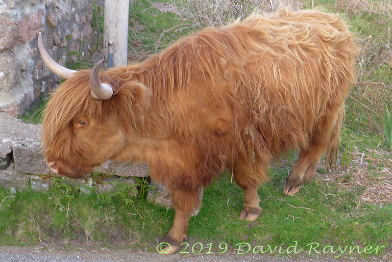 David Rayner Photography | Home Page